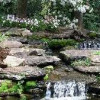 About Our Landscapers in the Charlotte, NC Area | All Natural Streams ...